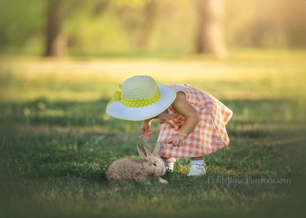 Gilchrist Farm: A Fun Family Day Out!